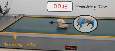 Designing And Running Real World RL Experiments