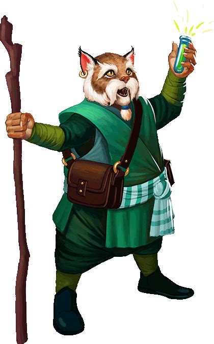 Himmy Videogaming Wiki Fandom