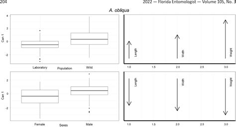 Pupal Size Distribution And Sexual Dimorphism In Wild And Laboratory