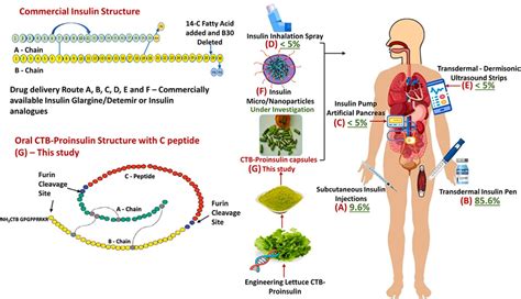 Plant Based Insulin Derived From Lettuce Can Be Taken Orally