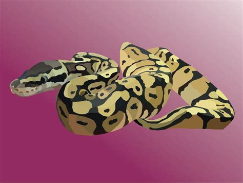 low poly artwork of my pastel ball python jasmine any feedback