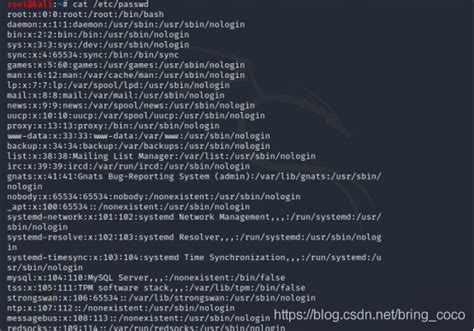 linux信息收集 csdn博客