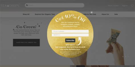 Ultimate Guide To Best Popup Design Popup Examples Best Practices Optimonk Blog