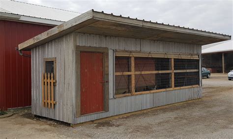 Started Pullet Coop Meyer Hatchery