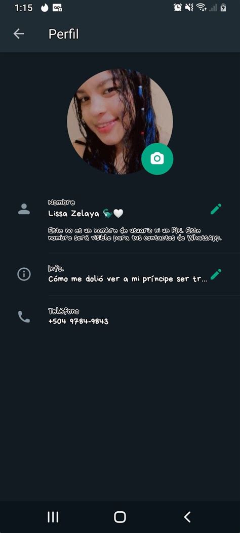 Pin En Guardado Rápido