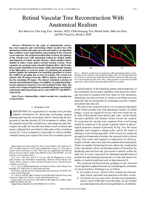 Pdf Retinal Vascular Tree Reconstruction With Anatomical Realism