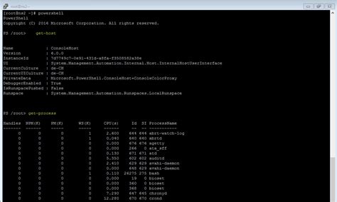 Powershell On Linux Icewolf Blog