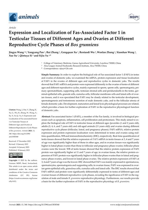 Pdf Expression And Localization Of Fas Associated Factor 1 In Testicular Tissues Of Different