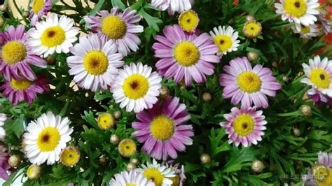 利用jupyter 读取excel,绘制散点图和折线图以及拟合曲线 掘金 利用jupyter 读取excel,绘制散点图和折线图以及拟合曲线 掘金