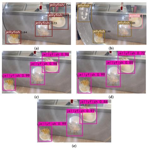 Real Time Jellyfish Classification And Detection Based On Improved