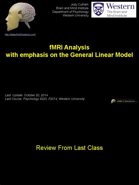 Fmri Analysis With Emphasis On The General Linear Model Pdf P Value Autocorrelation