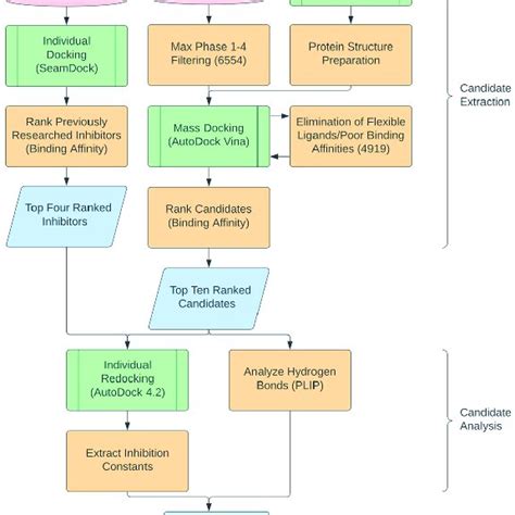 Flowchart For In Silico Candidate Extraction Validation And Analysis Download Scientific