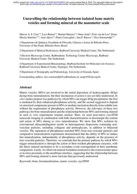 Pdf Unravelling The Relationship Between Isolated Bone Matrix Vesicles And Forming Mineral At
