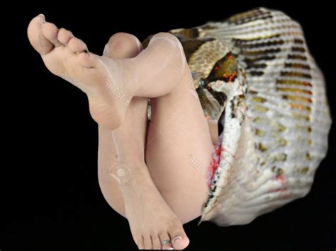 Burmese Python Vore By S0nnyboy On Deviantart