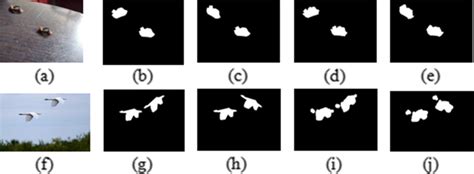 Copy Move Forgery Detection On D1 2 Dataset With Rotation Download