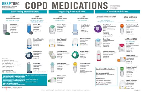 Asthma Inhaler Poster Pdf At Roseanna Morris Blog