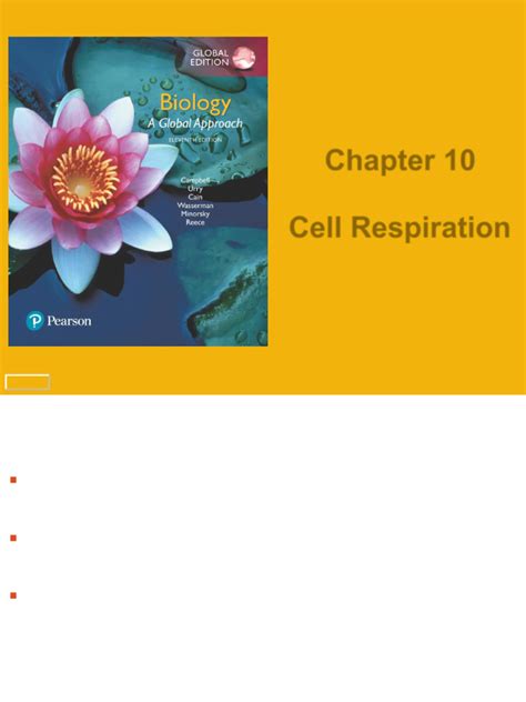 10 lecture presentation pdf cellular respiration glycolysis