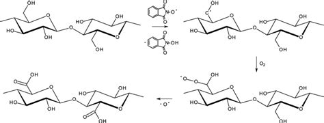 Figure B1 Schematic Diagram Of Cellulose Oxidation Performed By