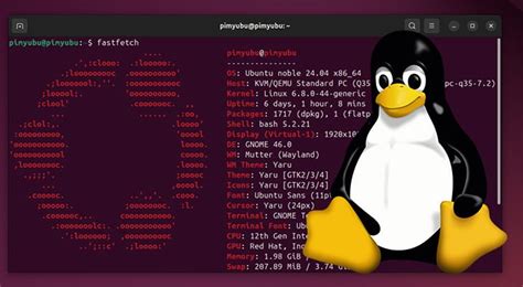 Using Fastfetch To Get Your Linux System Information Pi My Life Up