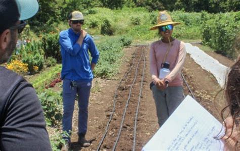 Usda Seeks Info About Local Conservation Practices For 2025 Project Survey Kauai Now