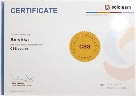 sololearn avishka fernando
