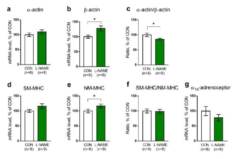 Relative Mrna Levels Of α Actin A β Actin B α Actin β Actin Ratio