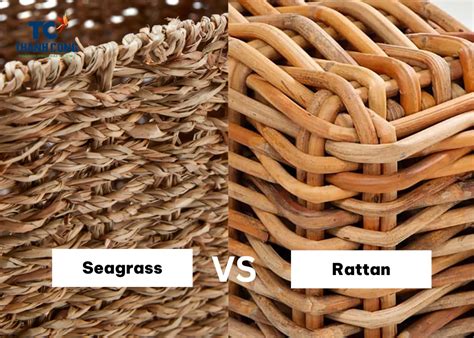 What Is The Difference Between Rattan And Poly Rattan At Edna Weiss Blog