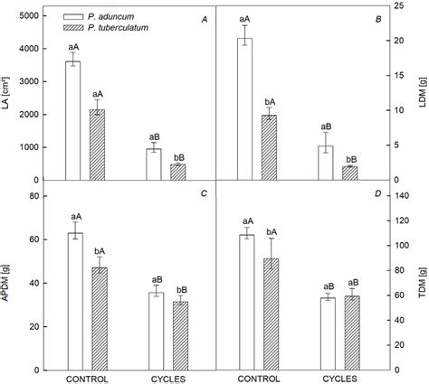 characterization of growth parameters in piper aduncum and piper