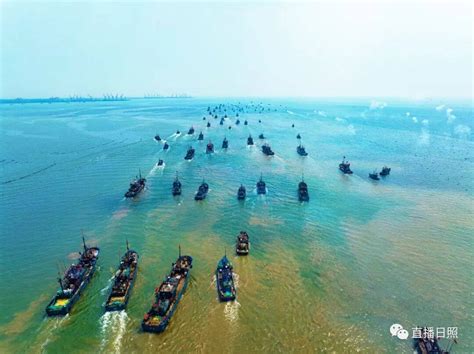 日照齐鲁网日照新闻 日照第一新闻门户 齐鲁网日照频道 日照信息 日照人才 日照政务