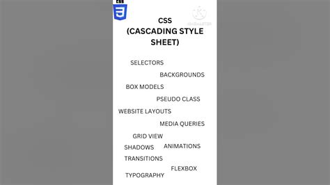 roadmap 👨‍💻 frontenddeveloper world share codingninjasindia