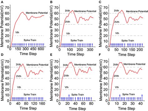 Frontiers Boosting Throughput And Efficiency Of Hardware Spiking Neural Accelerators Using