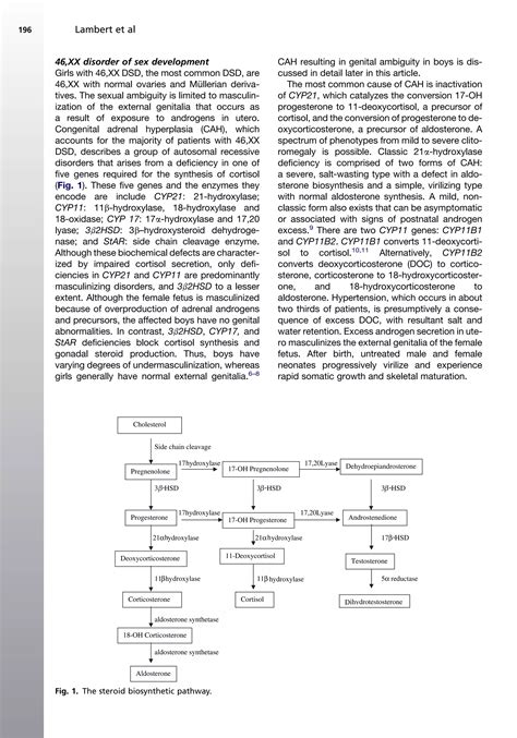 Ambiguous Genitalia Pdf