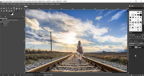 how to select and erase unwanted objects from a photo with gimp