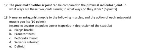Video Solution 17 The Proximal Tibiofibular Joint Can Be Compared To The Proximal Radioulnar