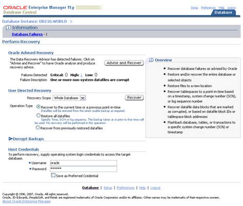 oracle base data recovery advisor in oracle database 11g release 1