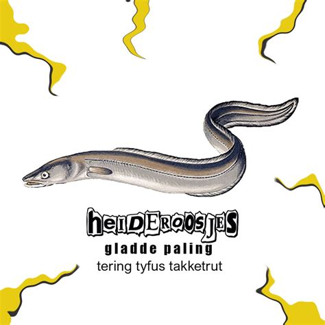 ‎tering Tyfus Takketrut Remix Single By Heideroosjes And Gladde Paling On Apple Music