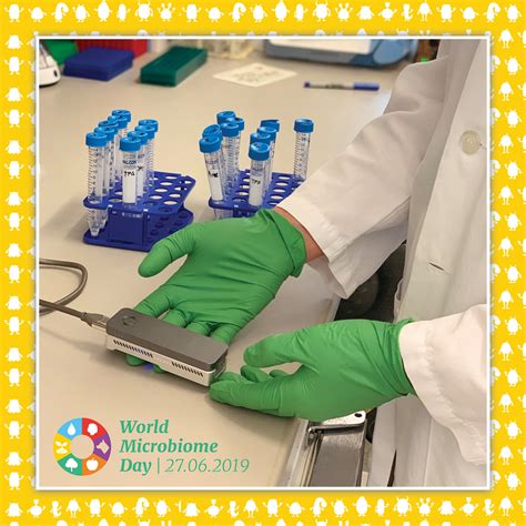 New Sequencing Technologies Enable Better And Faster Understanding Of The Human Microbiome J