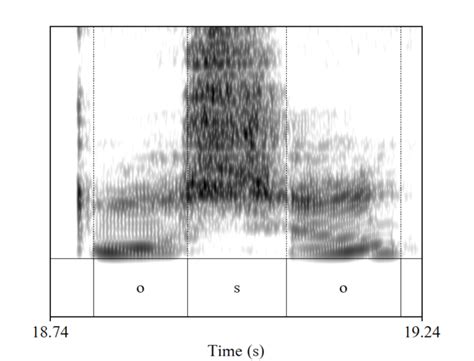 Annotation Of The Fricative Segment Download Scientific Diagram