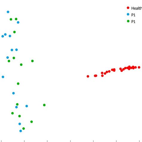 Principal Component Analysis Each Plot In The Principal Component