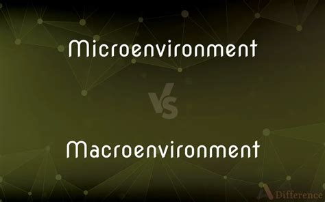 Microenvironment Vs Macroenvironment Whats The Difference