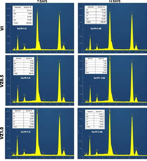 Table 1 From Porous Phosphate Based Bioactive Glass β Tcp Scaffold For