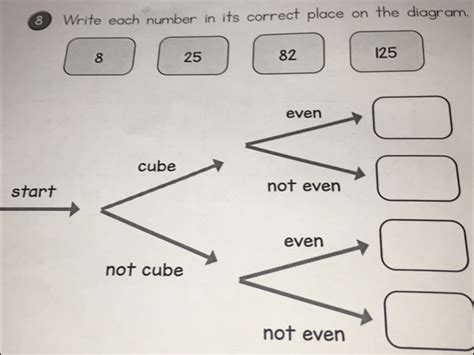 Solved 8 Write Each Number In Its Correct Place On The Diagram