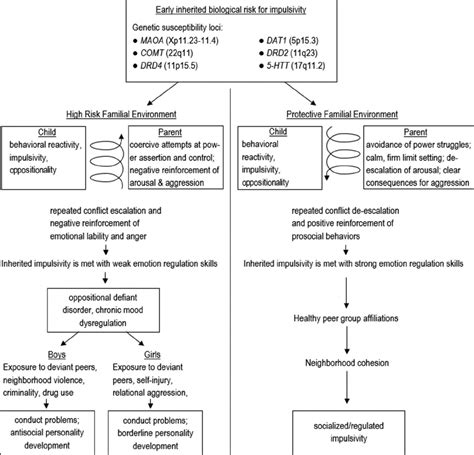 A Biosocial Developmental Model Of Emotion Dysregulation Note Genetic Download Scientific