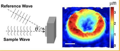 Quantitative Phase Imaging For Medical Diagnosis Journal Of