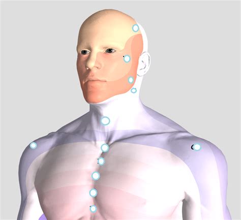 Thoracic Inlet Anatomy