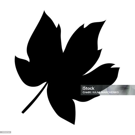 장식 디자인에 대한 흰색 배경에 검은 열대 잎 잎 아이콘입니다 야자수 실루엣 벡터 실루엣 그림이 격리되었습니다 이국적인 정글 벽지 벡터 일러스트 자연 배경입니다 0명에 대한