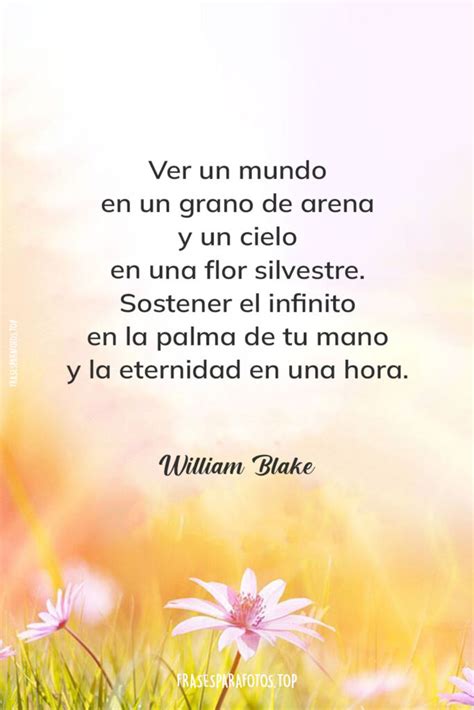 50 Poemas Cortos Y Bonitos Con Imágenes De Amor Y