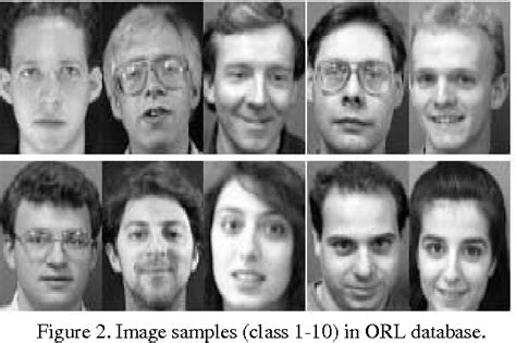 Figure 2 From Photon Counting Linear Discriminant Analysis For Face Recognition At A Distance