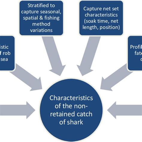 Summary Of Retained Catch Sampling Download Scientific Diagram