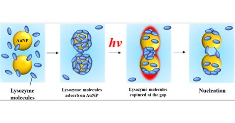 Crystallization Of Lysozyme Induced By Gap Mode Surface Plasmon